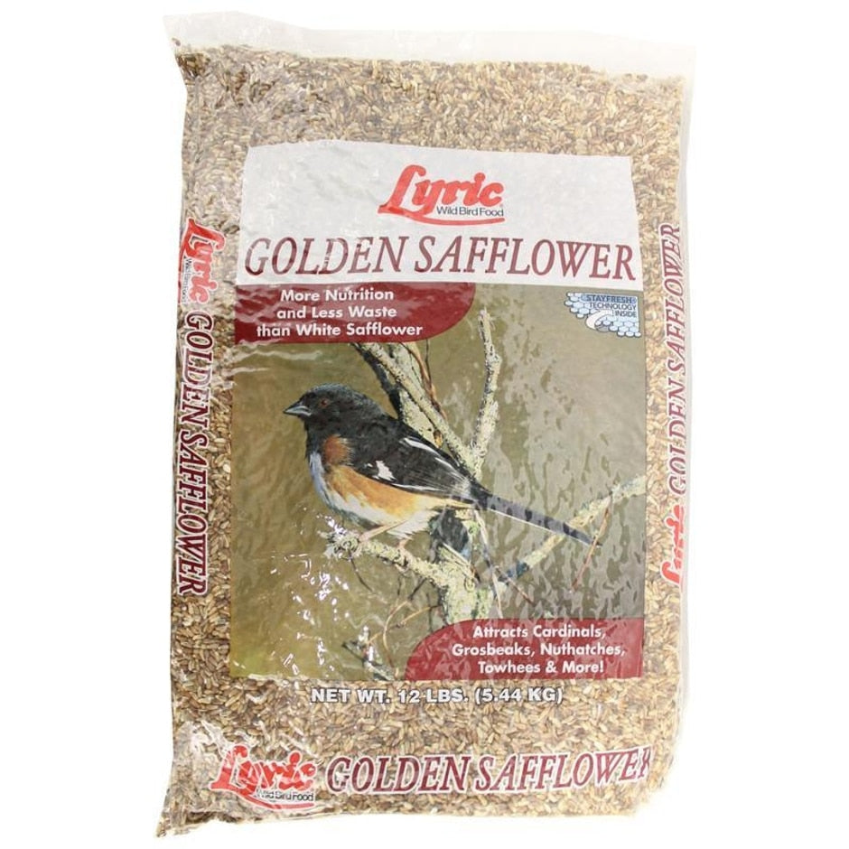 LYRIC GOLDEN SAFFLOWER - East Haddam, CT - Shagbark Lumber and Farm ...