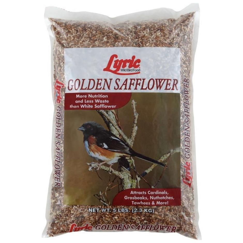 LYRIC GOLDEN SAFFLOWER - East Haddam, CT - Shagbark Lumber and Farm ...